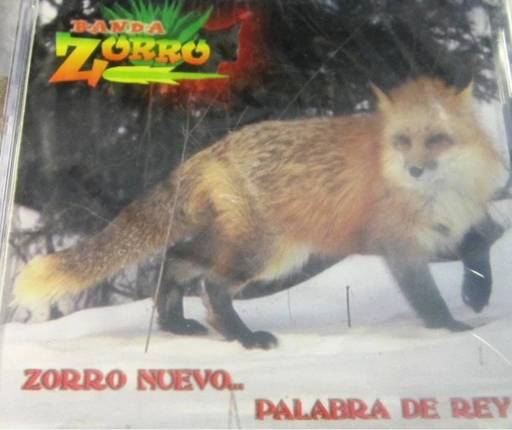 Zorro nuevo palabra de rey (álbum parcialmente encontrado de Banda ...