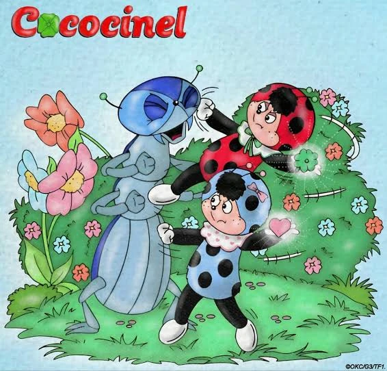 Cococinel (Lost Season 2 ) | Lost Media Archive | Fandom