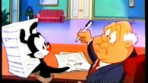 Animaniacs (Lost Hebrew dub) | Lost Media Archive | Fandom