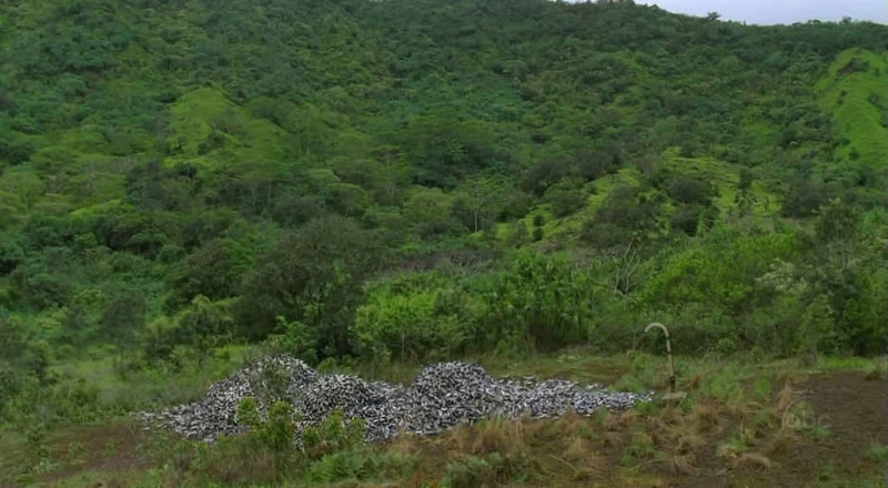 Stos kapsuł | Lostpedia | Fandom