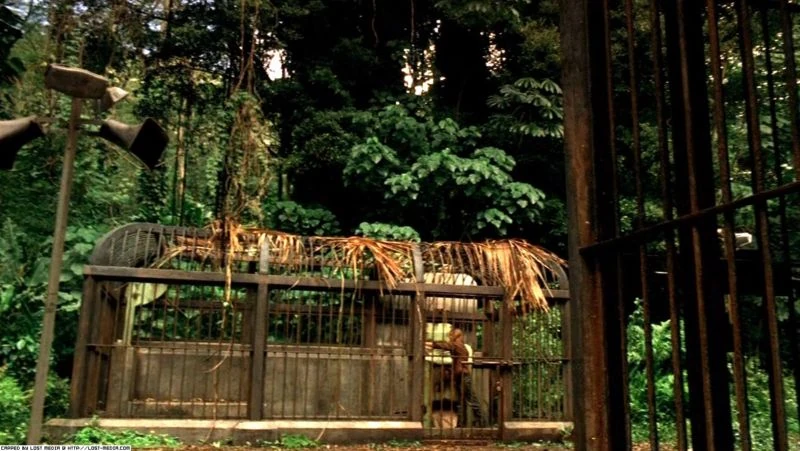 Cages | Lostpedia | Fandom