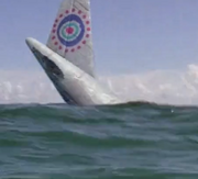 Oceanic Airlines | Lostpedia | Fandom