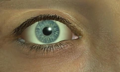 Lost: Via Domus walkthrough | Lostpedia | Fandom