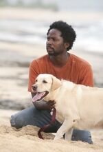 Michael Dawson | Lostpedia | Fandom