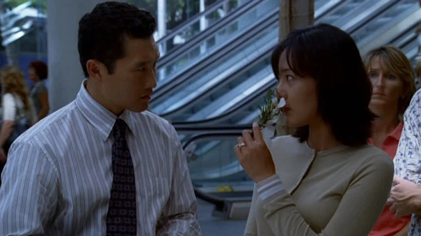 Departing Sun | Lost Wiki | Fandom