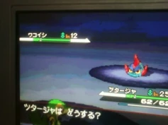 Wakoishi | Lost Pokemon Wiki | Fandom