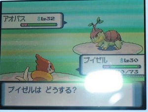 Aopasu | Lost Pokemon Wiki | Fandom