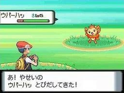 Upahatsu | Lost Pokemon Wiki | Fandom