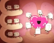 Cuore di Gumball | Lo straordinario mondo di Gumball Wiki | Fandom