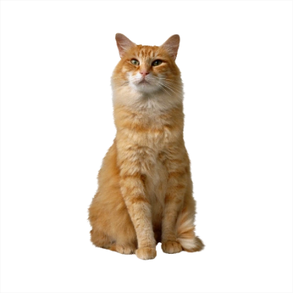 Cast | Lostwave Adventures Unofficial Wiki | Fandom