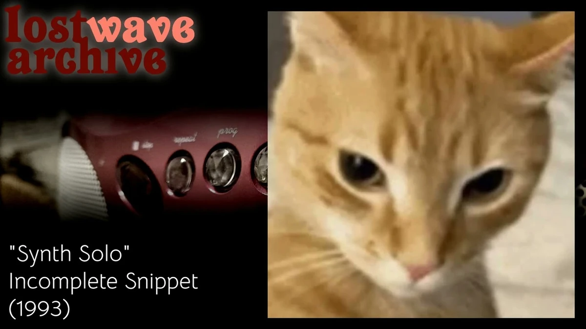 Synth Solo | Lostwave Archive Wiki | Fandom