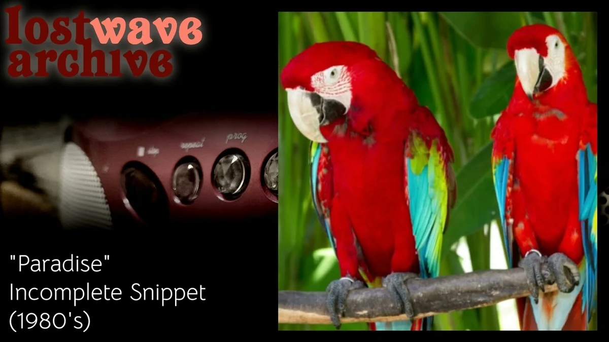 Paradise | Lostwave Archive Wiki | Fandom