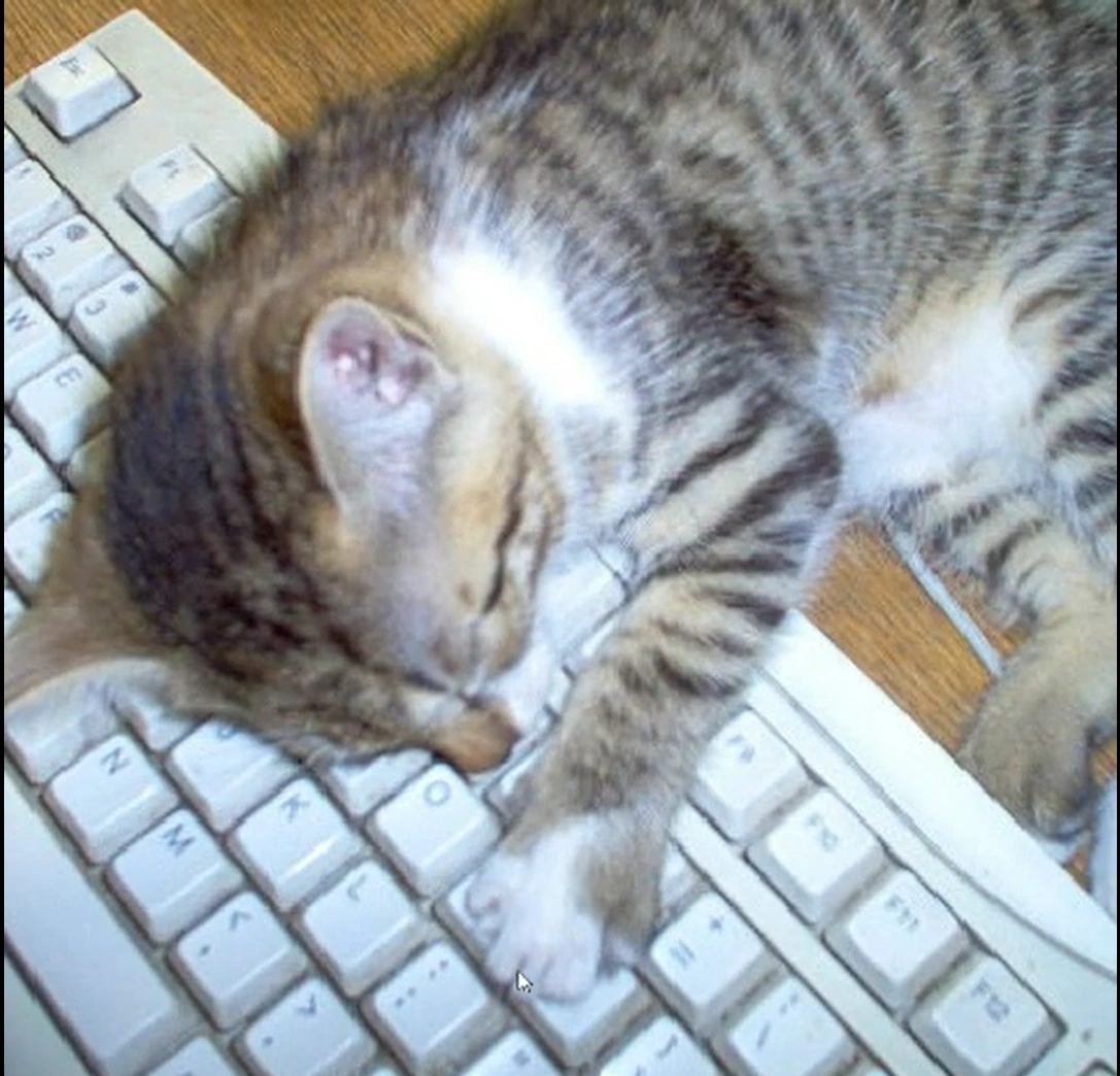 The Computer Song (Karaoke Version) | Lostwave's Fakest Wiki | Fandom