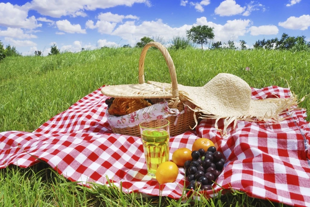 She Called My Friend A Picnic Boy | Lostwave's Fakest Wiki | Fandom