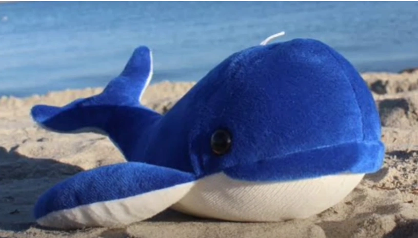 Enchanting To Meet You | Lostwave's Fakest Wiki | Fandom