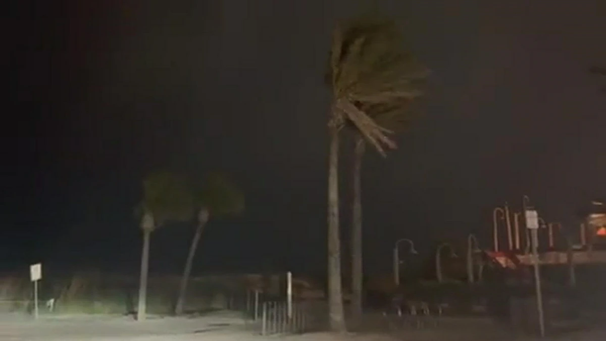 Whatcha Gonna Do | Lostwave's Fakest Wiki | Fandom