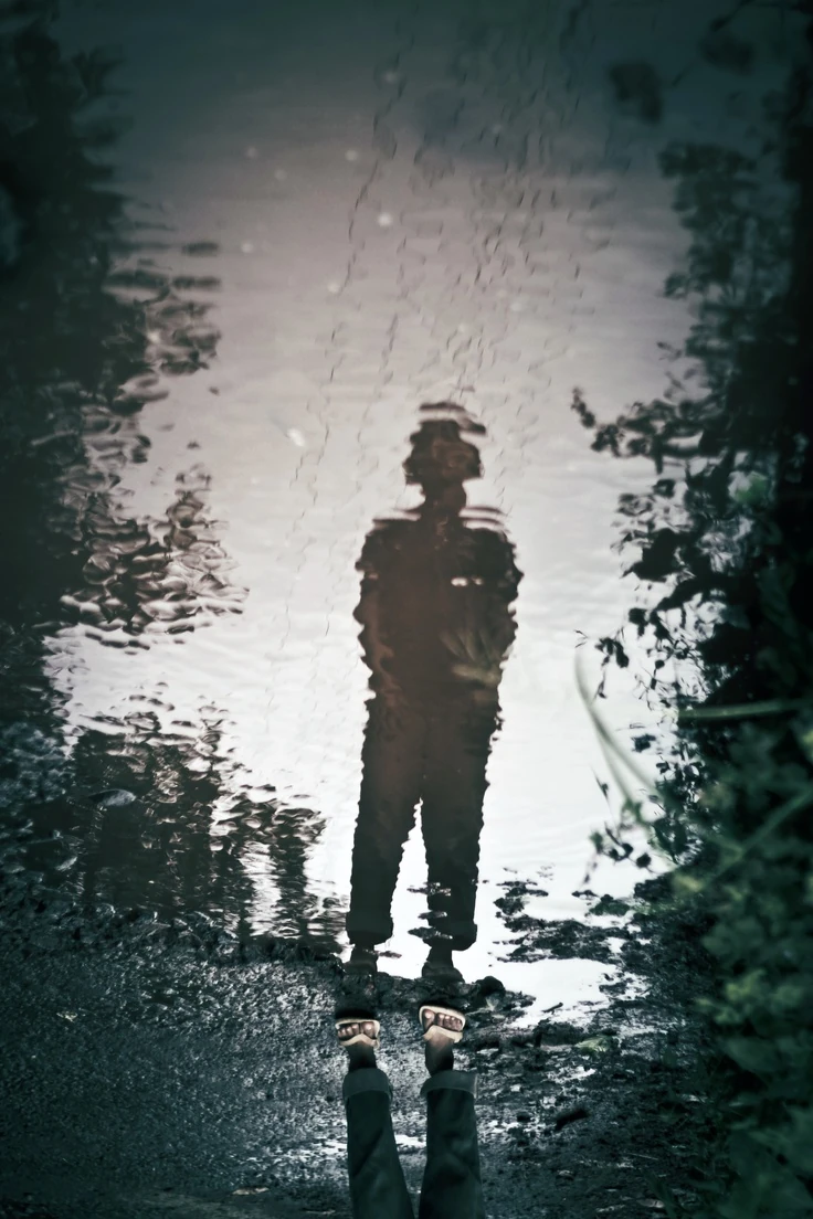 Everything Has Changed | Lostwave's Finest Wiki | Fandom