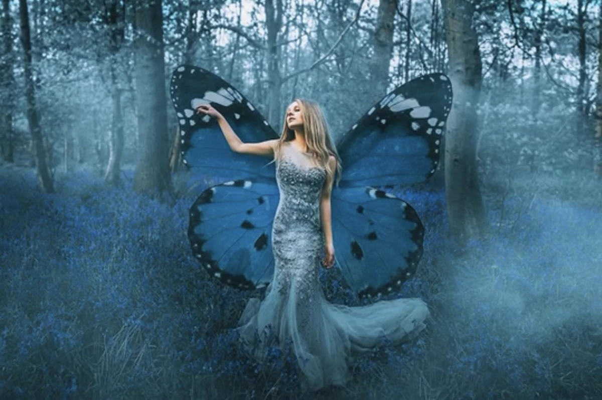 Go On And Dream | Lostwave's Finest Wiki | Fandom