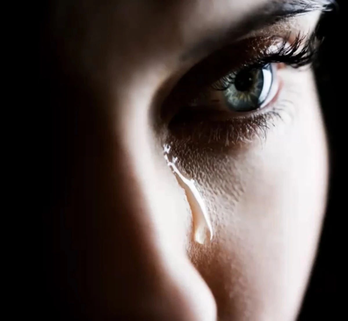 Bitter Tears | Lostwave's Finest Wiki | Fandom