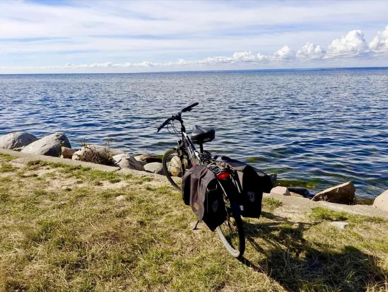 Discuss Everything About Lostwave's Finest Wiki | Fandom