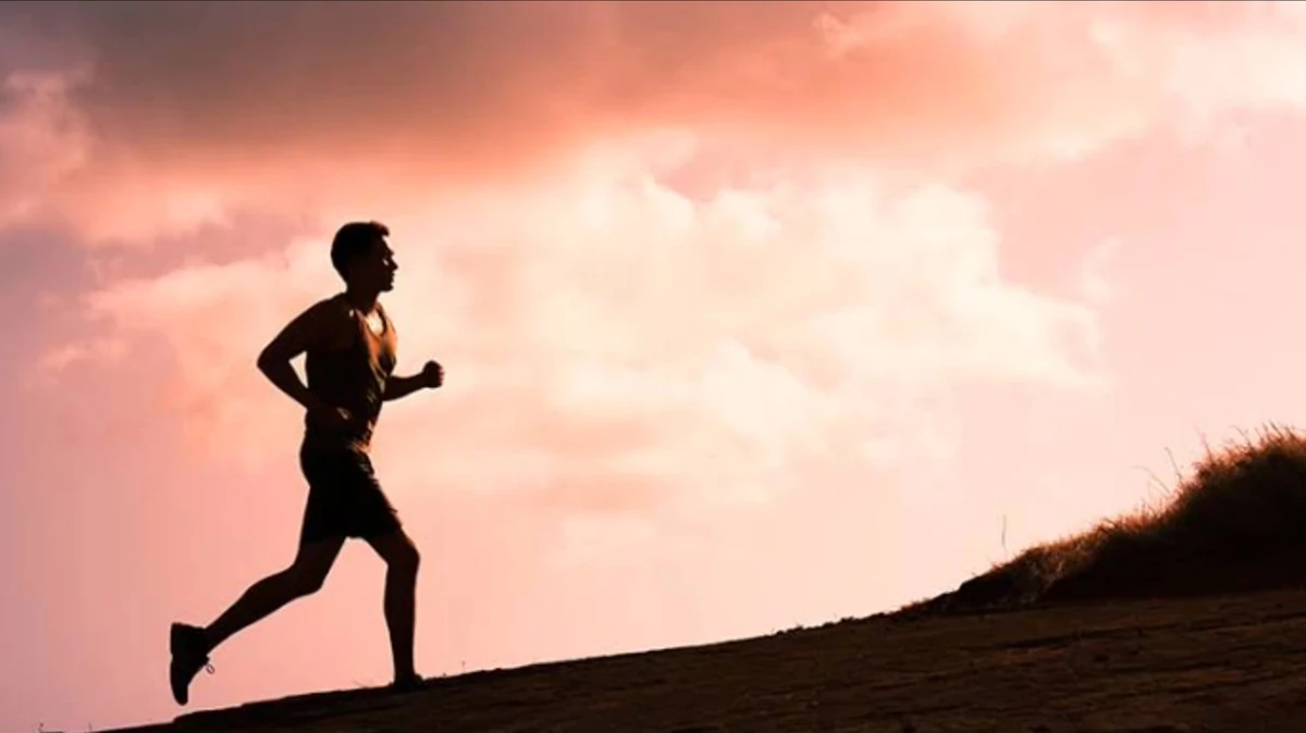 Caminar | Lostwave's Finest Wiki | Fandom