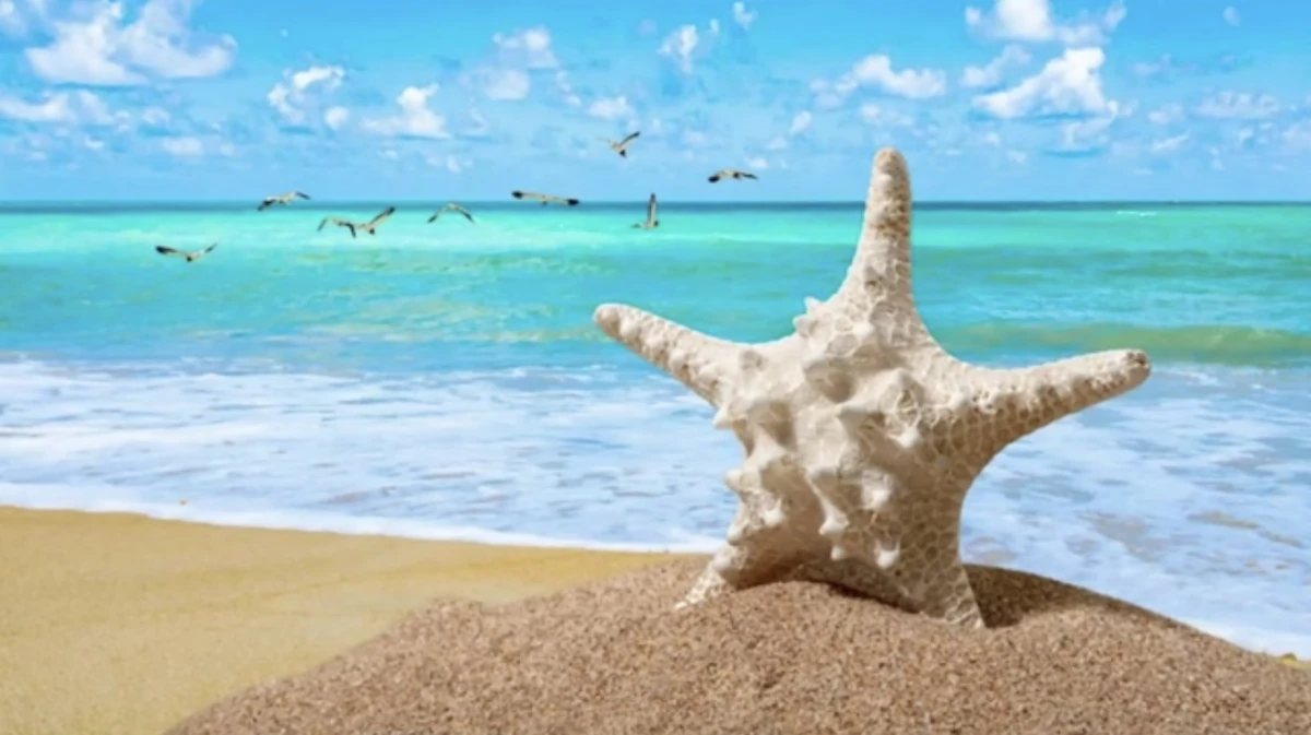 JS01 DJ Mix Track | Lostwave's Finest Wiki | Fandom