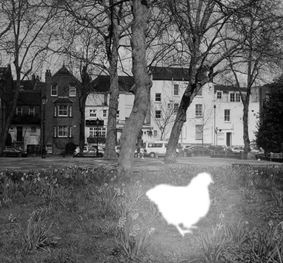 Ghost Chickens | Lostwave's Finest Wiki | Fandom