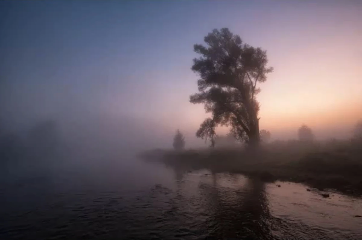 Somebody Else Again | Lostwave's Finest Wiki | Fandom