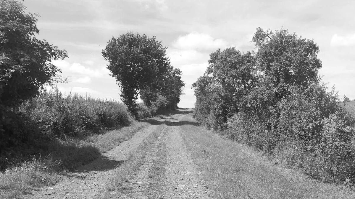 Feels Like a Wish | Lostwave's Finest Wiki | Fandom