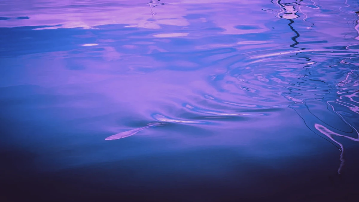 The One That Got Away | Lostwave's Finest Wiki | Fandom