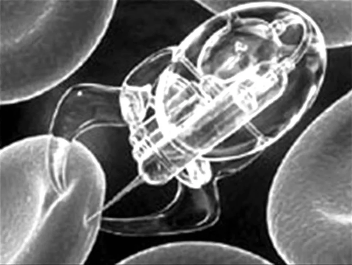 D.ANGER! | Lostwave's Finest Wiki | Fandom