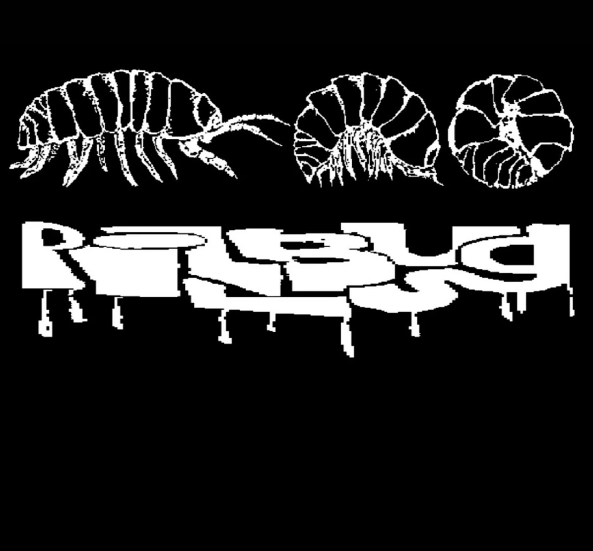 Pillbug | Lostwave's Finest Wiki | Fandom