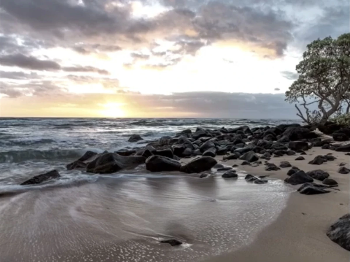 Didn’t You Know | Lostwave's Finest Wiki | Fandom