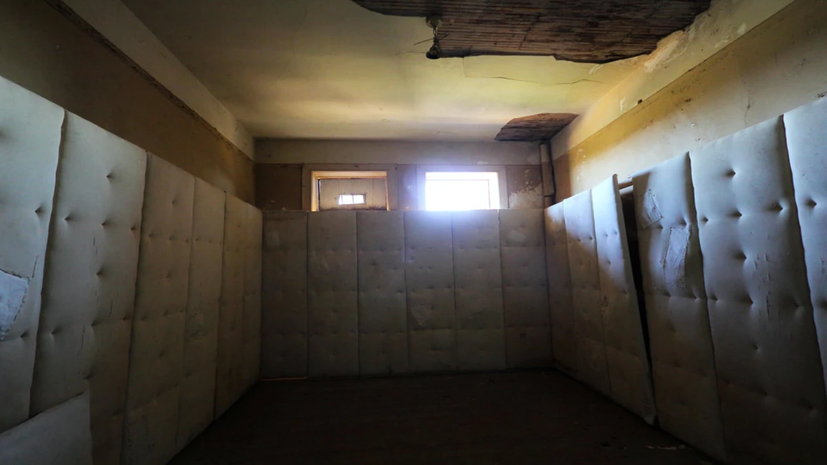 New Neurosis | Lostwave's Finest Wiki | Fandom