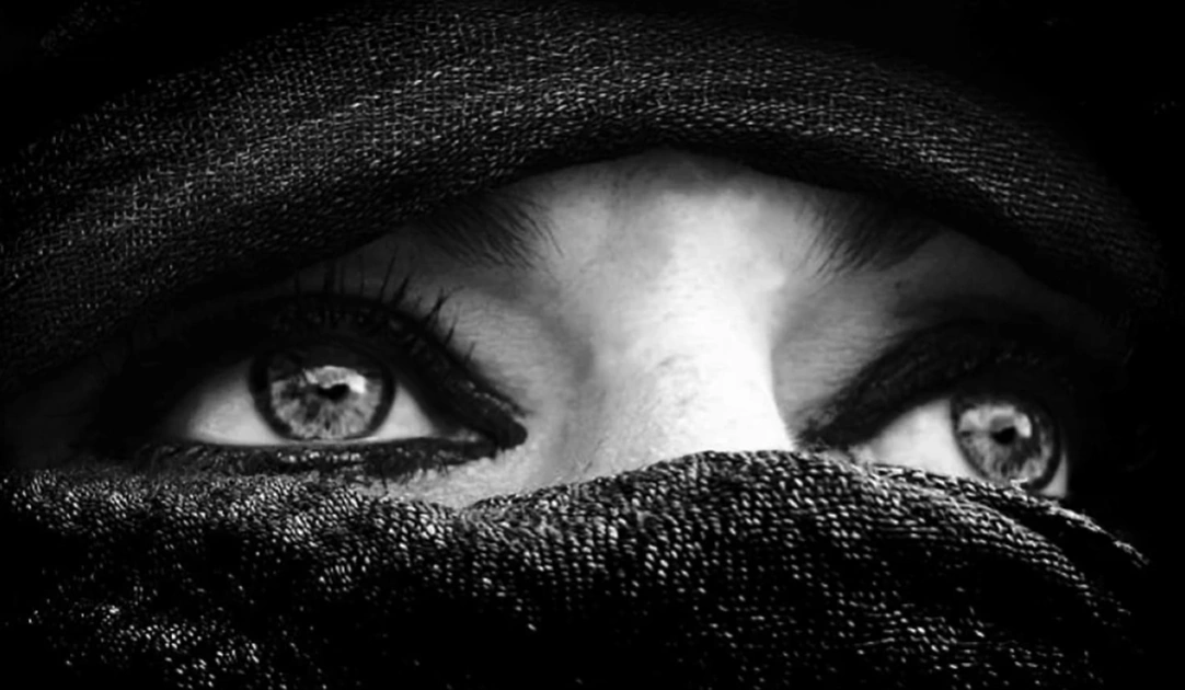 Discuss Everything About Lostwave's Finest Wiki | Fandom