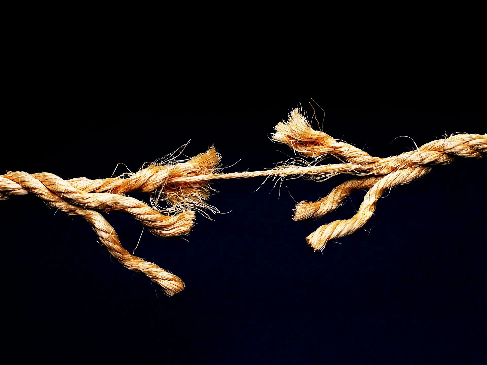 Tension Rising In The Air | Lostwave's Finest Wiki | Fandom