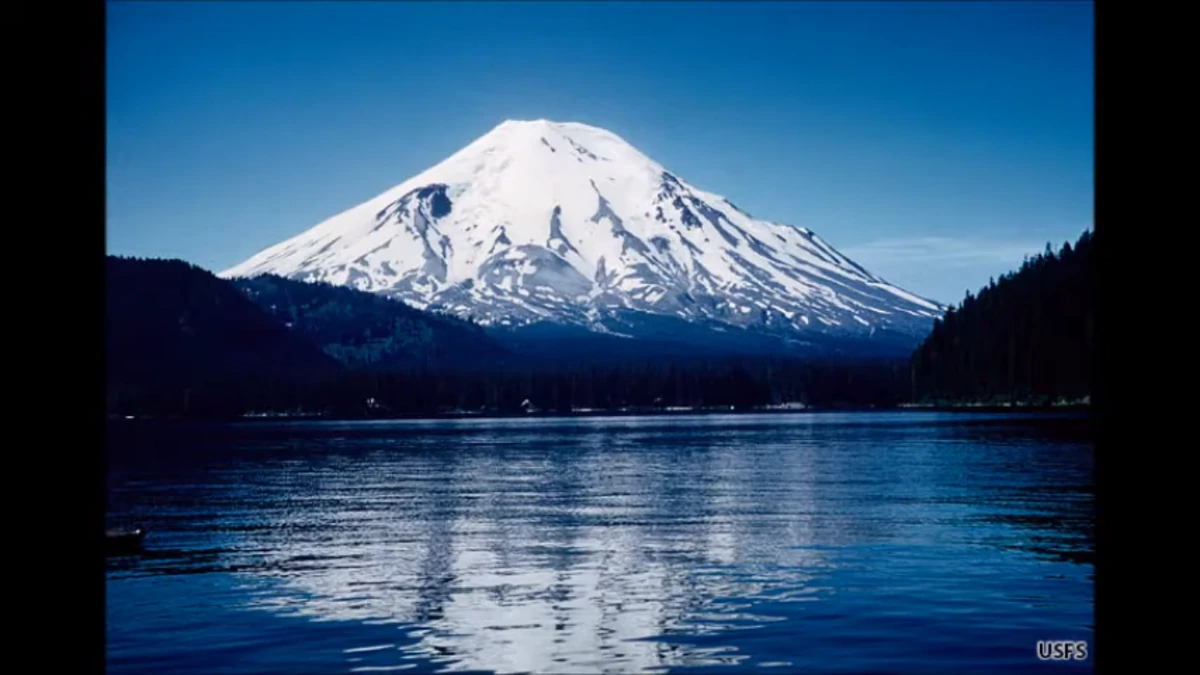 Run From Me | Lostwave's Finest Wiki | Fandom