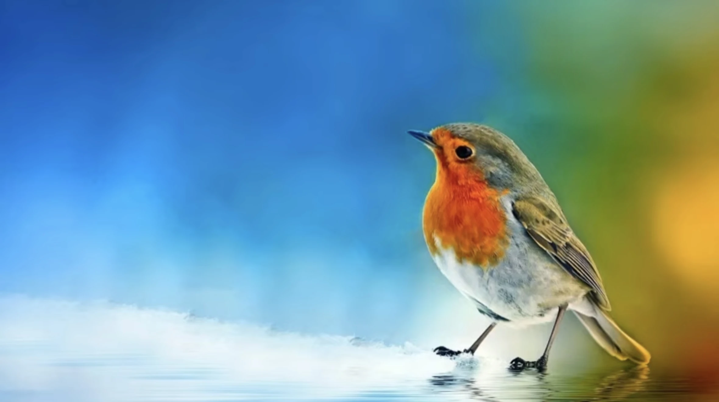 Discuss Everything About Lostwave's Finest Wiki | Fandom