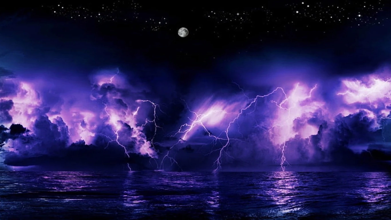 Discuss Everything About Lostwave's Finest Wiki | Fandom