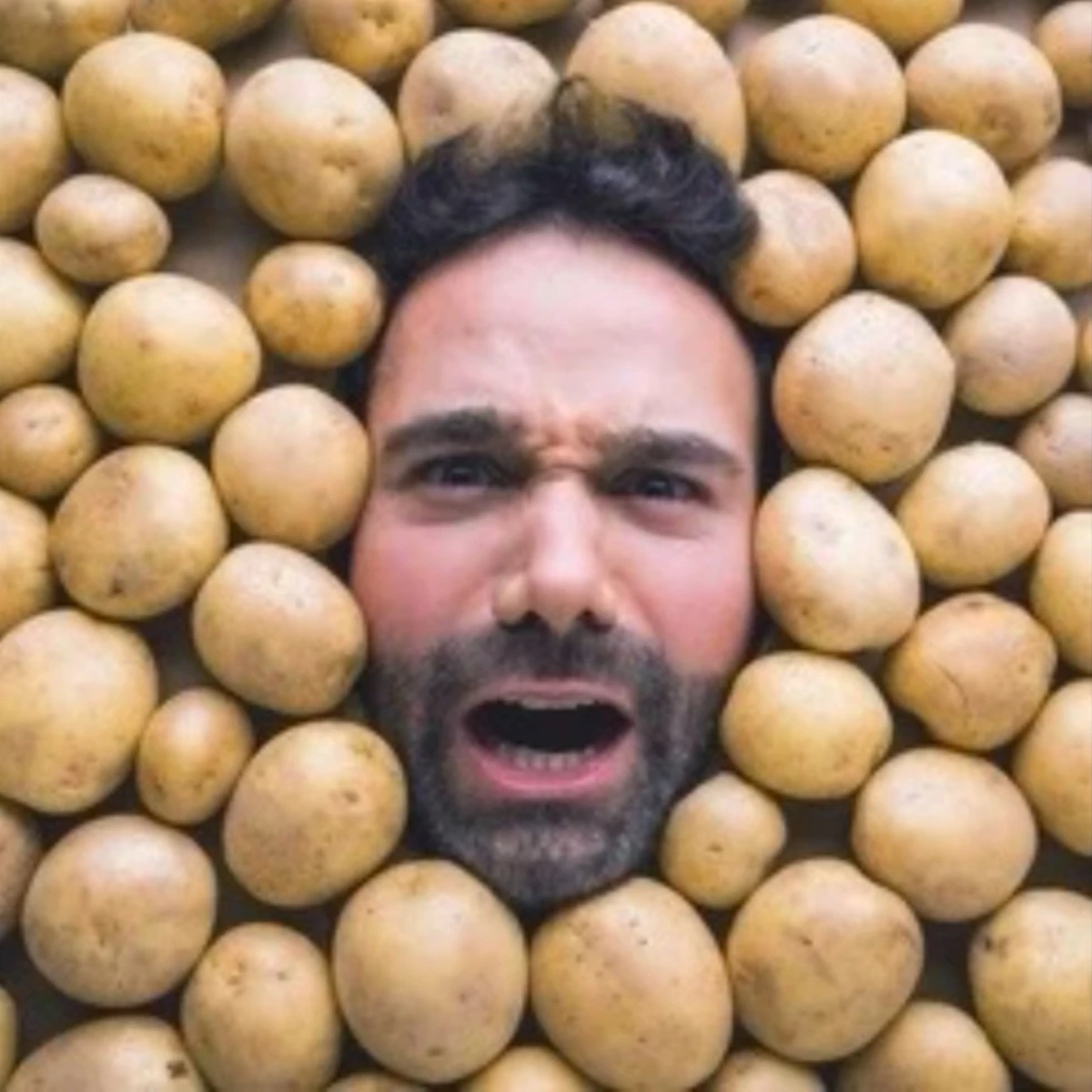 Surfeited | Lostwave's Finest Wiki | Fandom