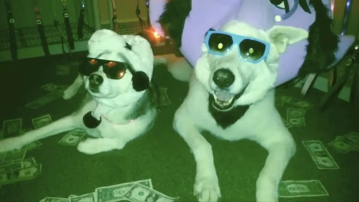 Get Down | Lostwave's Finest Wiki | Fandom