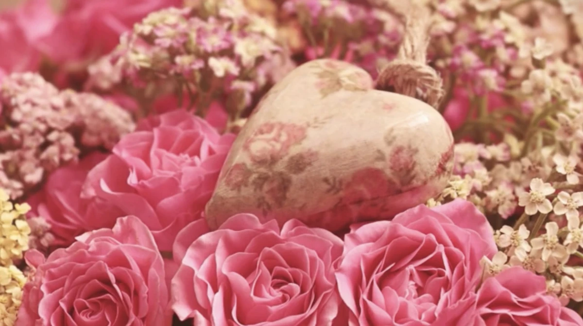 She Was 25 | Lostwave's Finest Wiki | Fandom