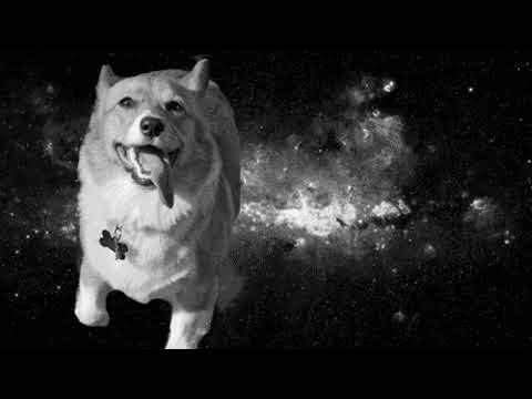 Electronic Barking Dog Sample | Lostwave's Finest Wiki | Fandom