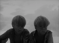 Samneric | Lord of the Flies Wiki | Fandom