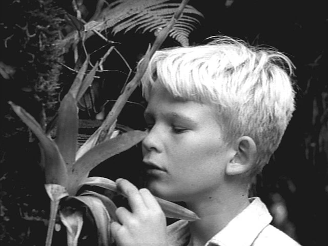 Littluns | Lord of the Flies Wiki | Fandom