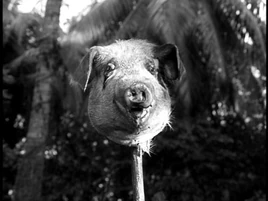 Lord of the Flies (character) | Lord of the Flies Wiki | Fandom
