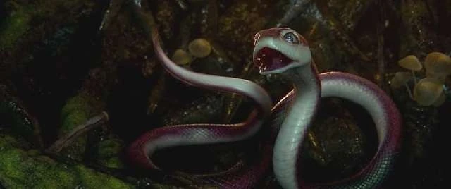 Mrs. Plithiver | Guardians of Ga'Hoole Movie Wiki | Fandom