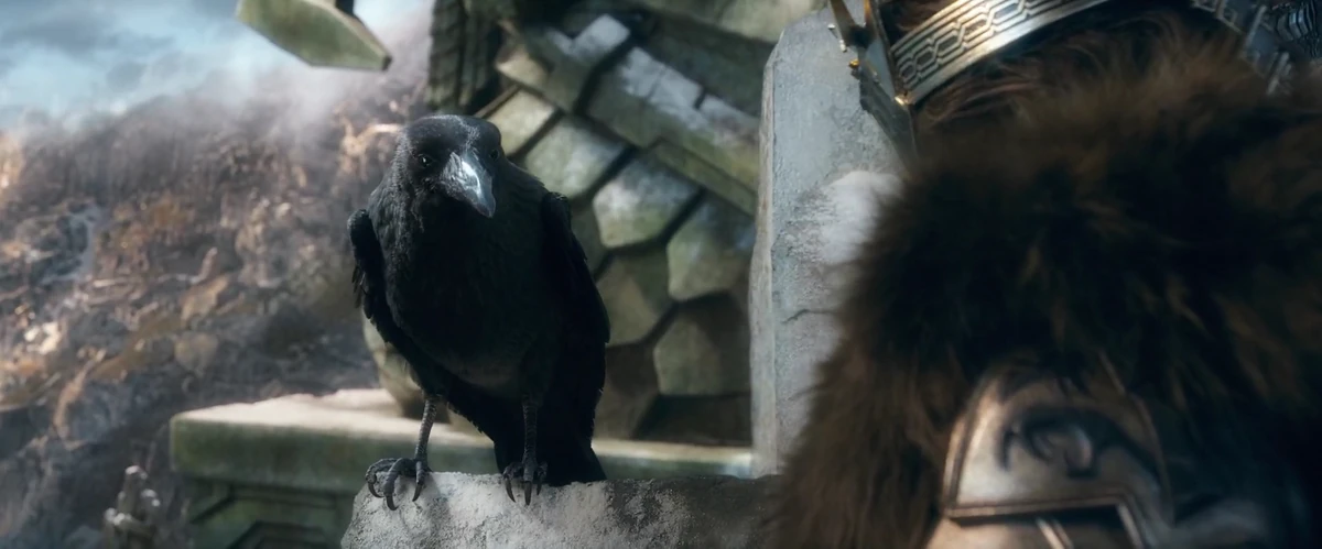 Roäc | The One Wiki to Rule Them All | Fandom