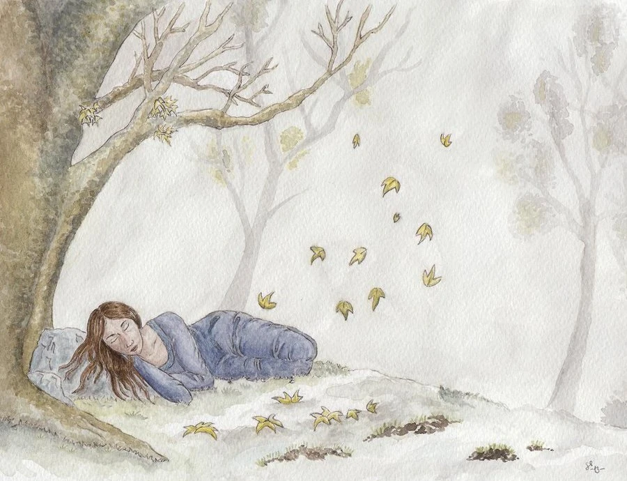 Cerin Amroth | The One Wiki to Rule Them All | Fandom