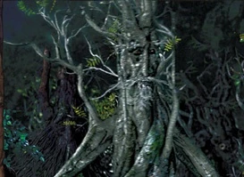 Rootcouncil | The One Wiki to Rule Them All | Fandom